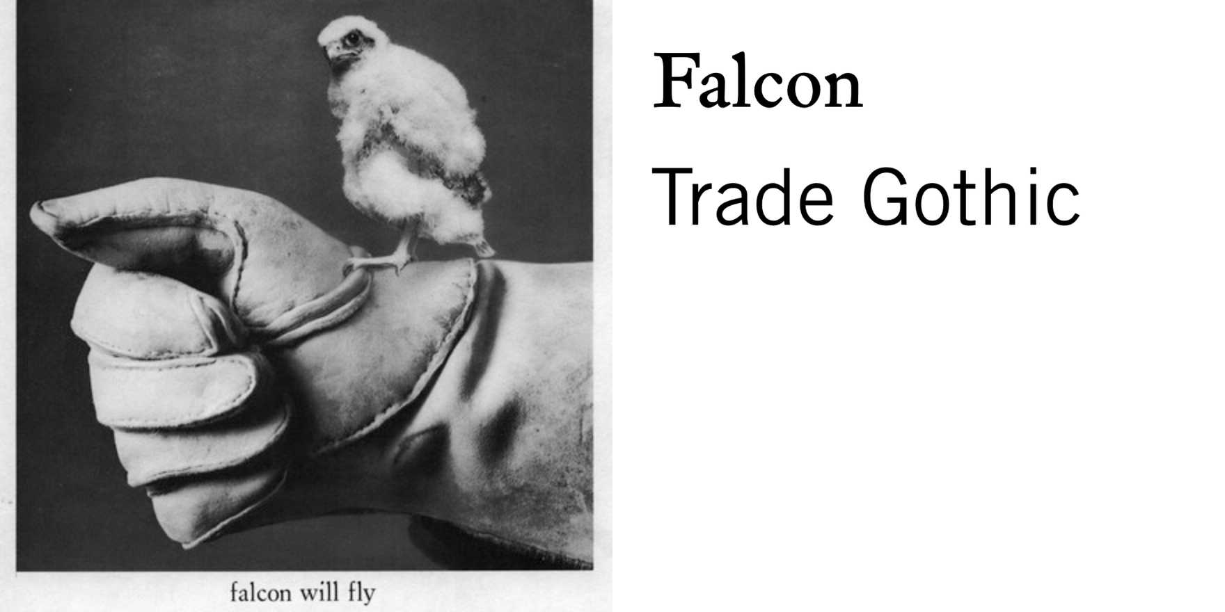 “Falcon will fly” ad by Mergenthaler Linotype (1962) - Fonts In Use