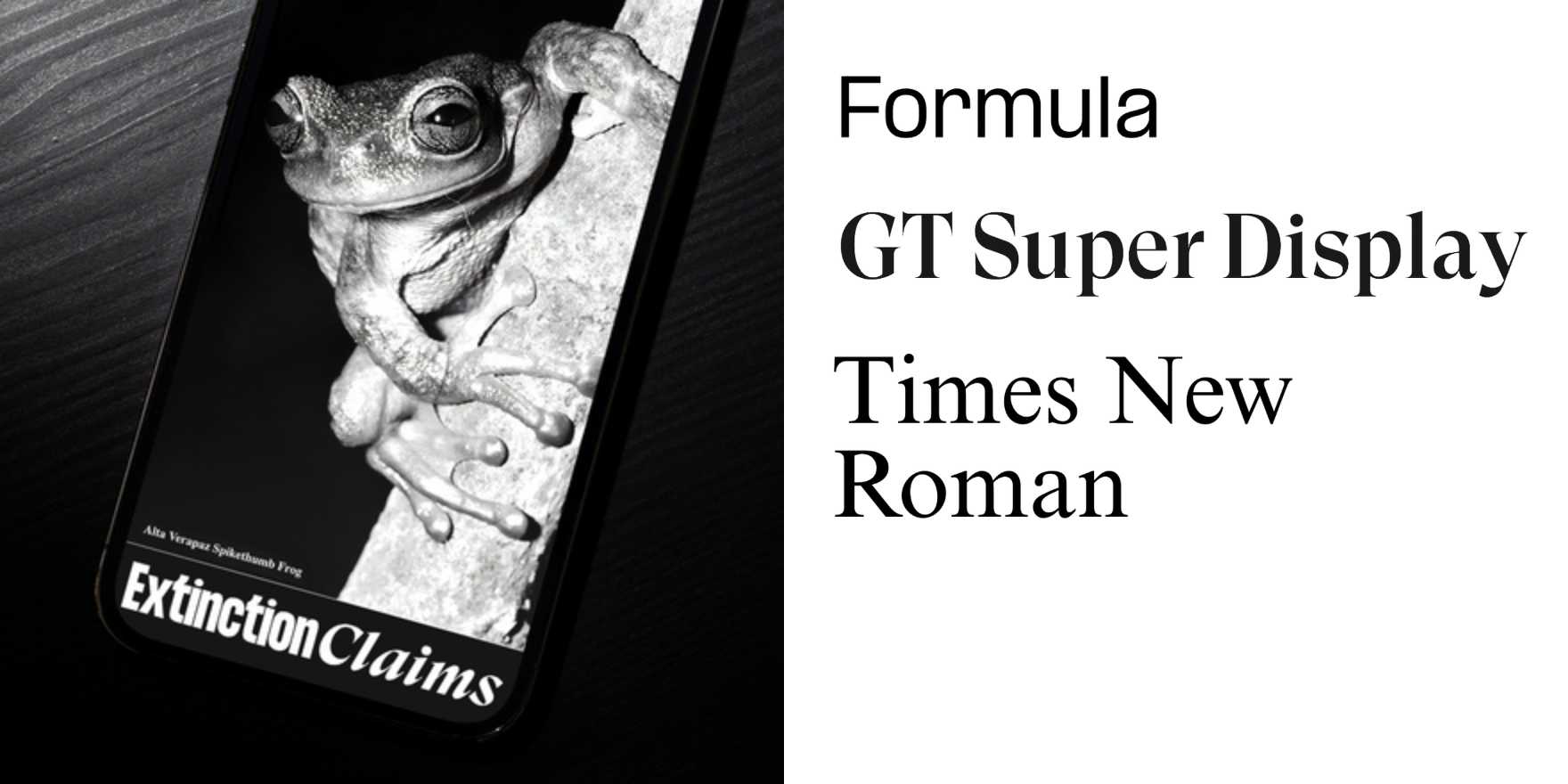 Extinction Claims project and exhibition - Fonts In Use