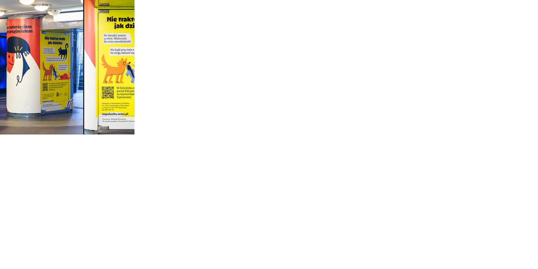 animal shelters - Fonts In Use