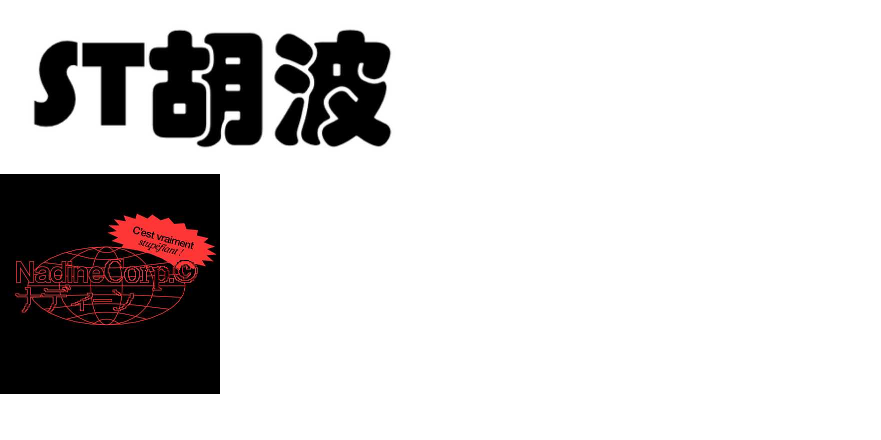 STHupo in use - Fonts In Use