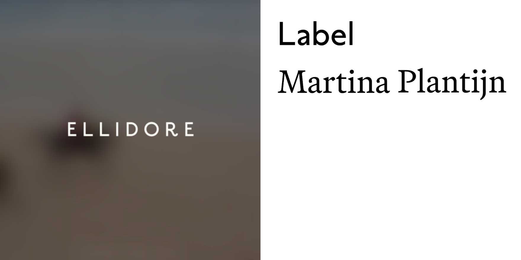 Ellidore website - Fonts In Use