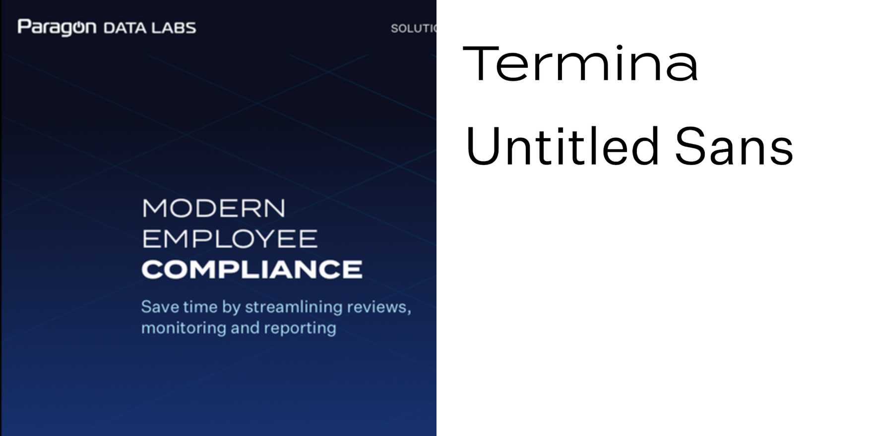 Paragon Data Labs - Fonts In Use