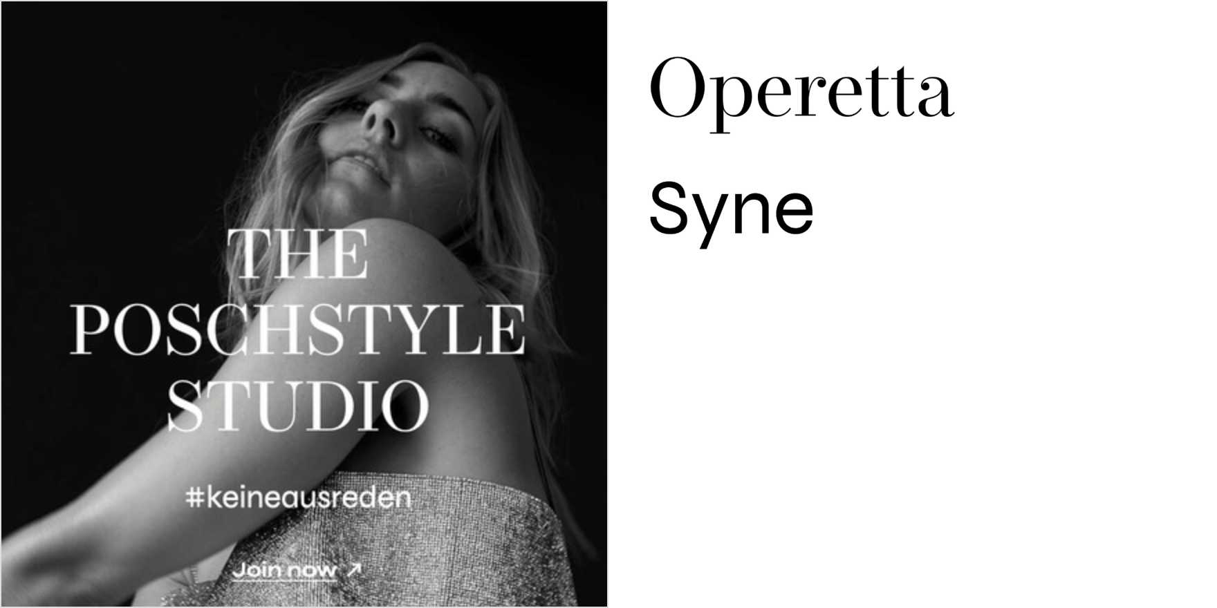 Poschstyle website - Fonts In Use