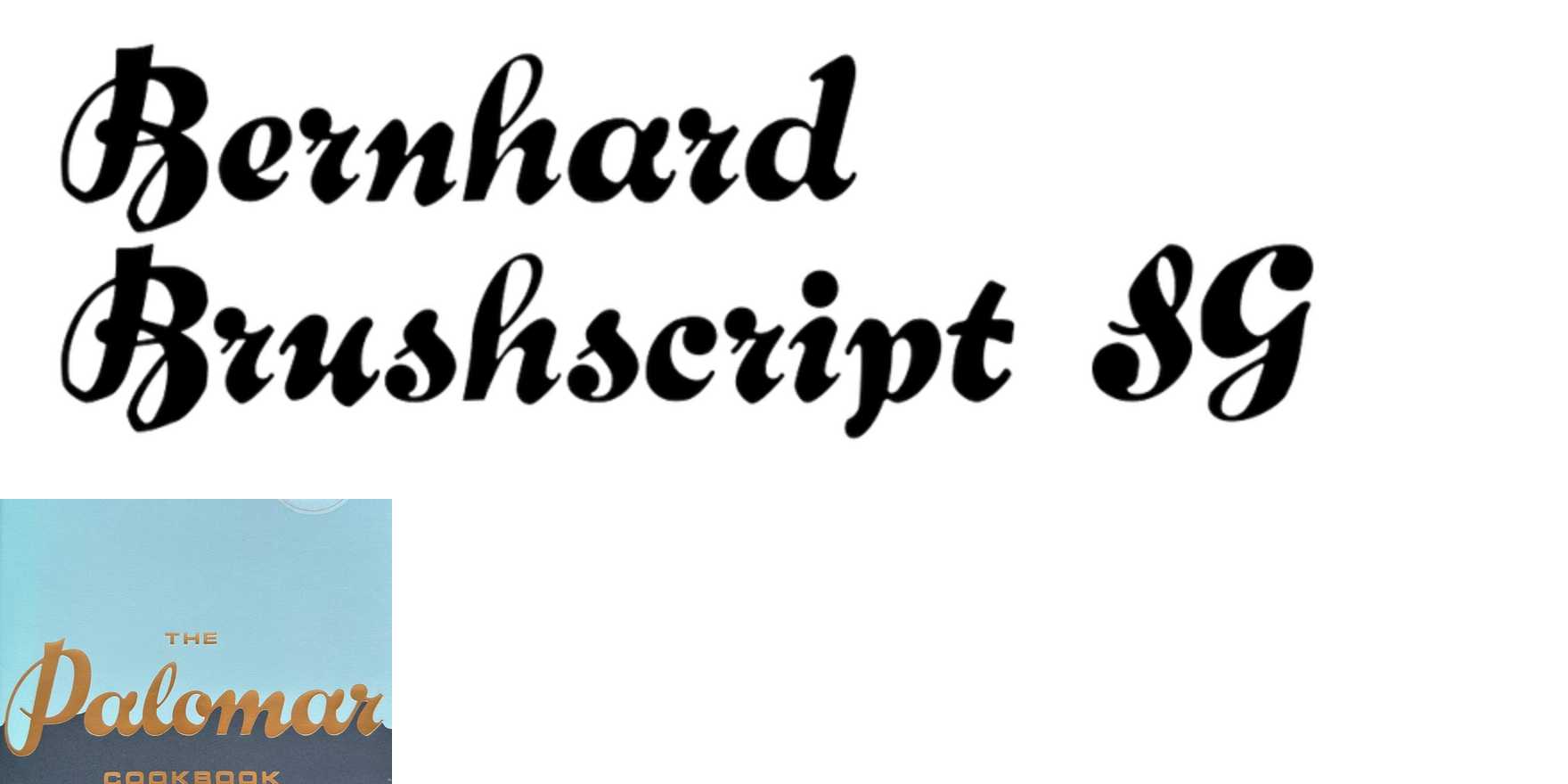 Bernhard Brushscript SG in use - Fonts In Use