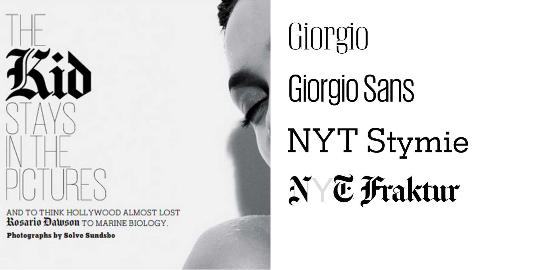 T, The New York Times Style Magazine, 2008–09 - Fonts In Use