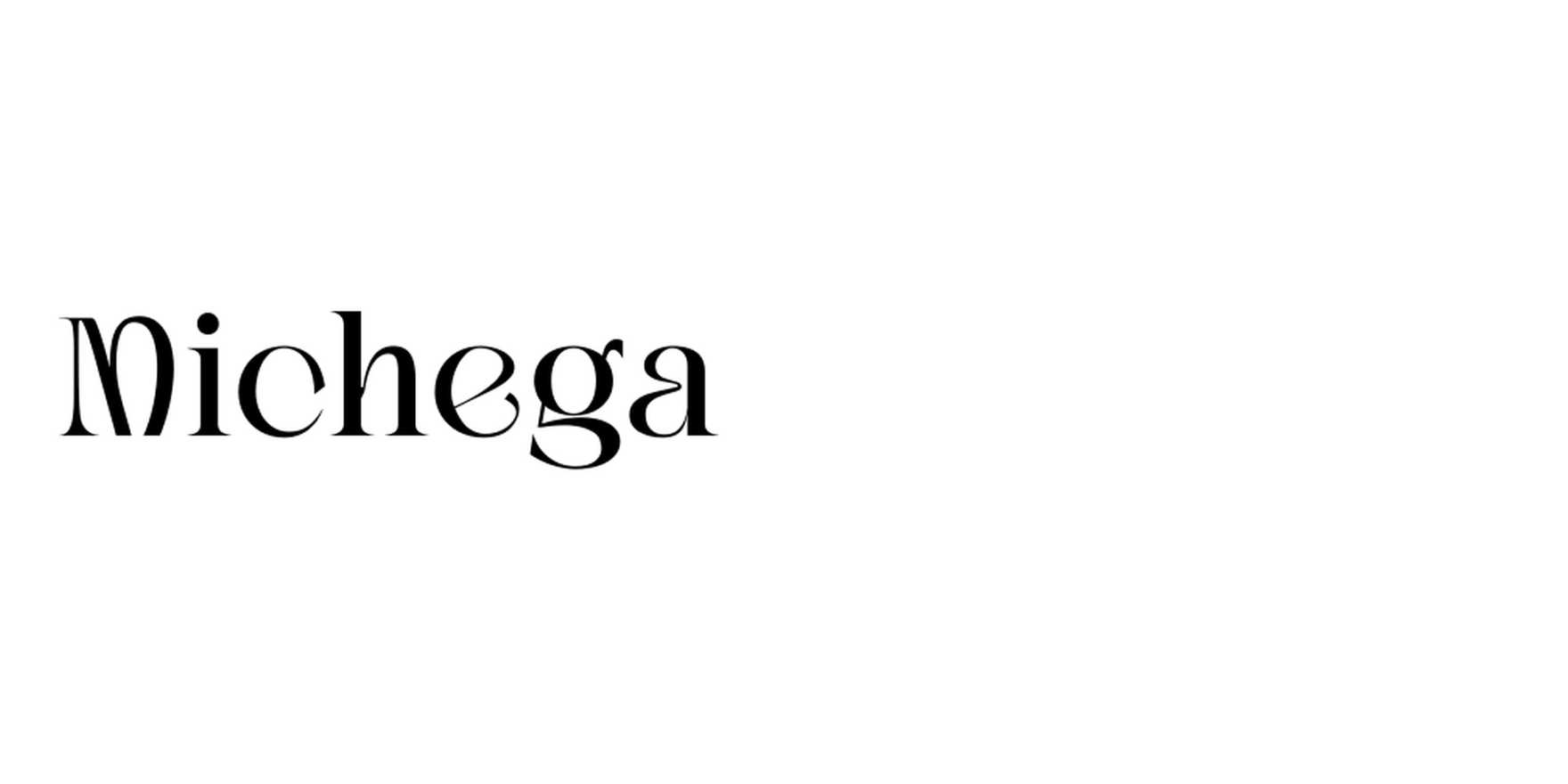 Michega in use - Fonts In Use