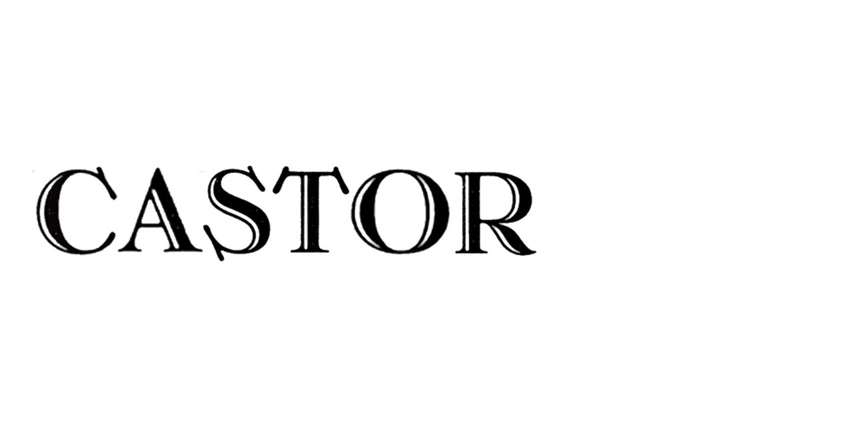Castor in use - Fonts In Use