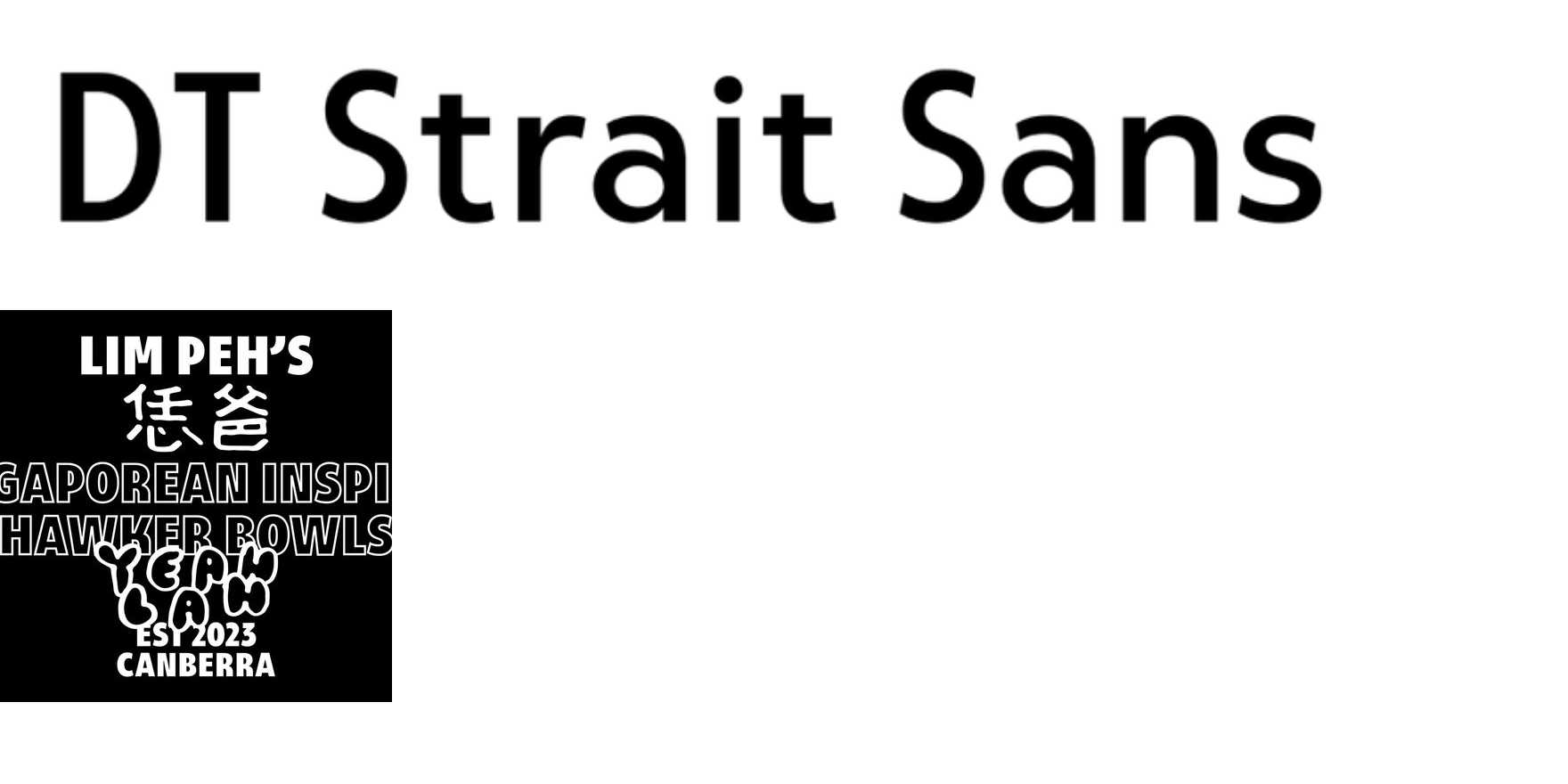 DT Strait Sans in use - Fonts In Use