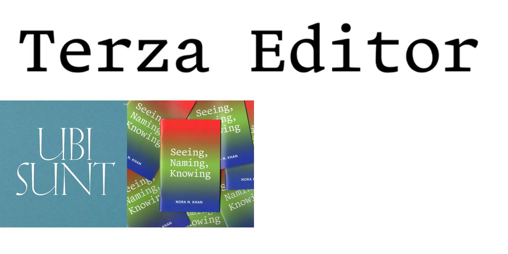 Terza Editor in use - Fonts In Use