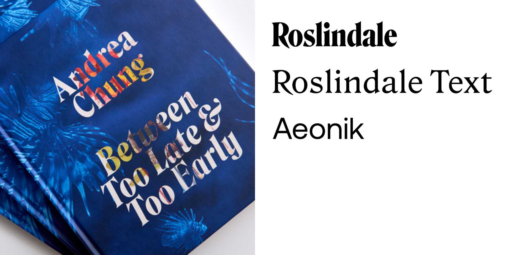 Andrea Chung – Between Too Late & Too Early exhibition catalog - Fonts ...