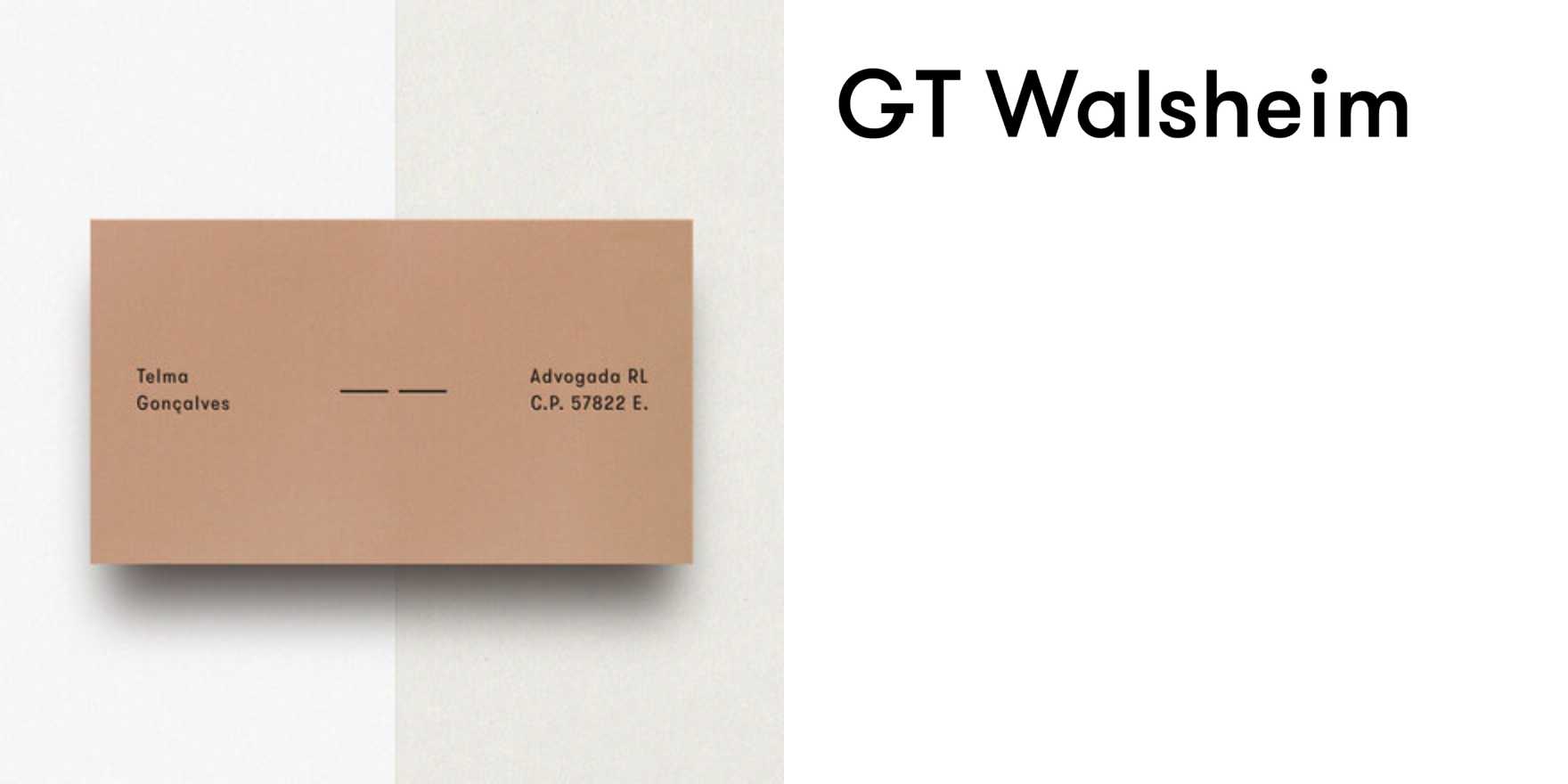 Telma Gonçalves - Fonts In Use