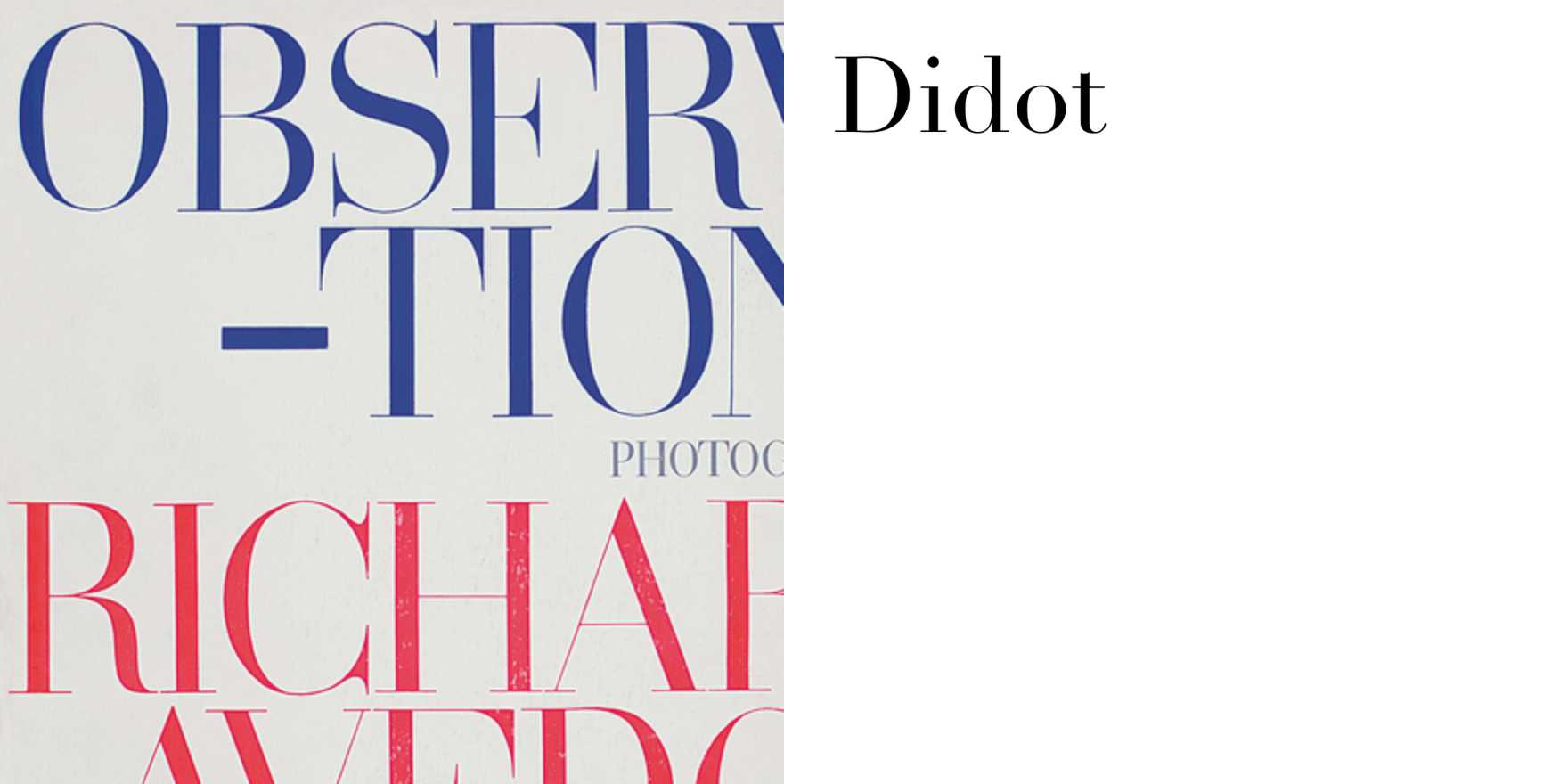 Richard Avedon, Observations - Fonts In Use