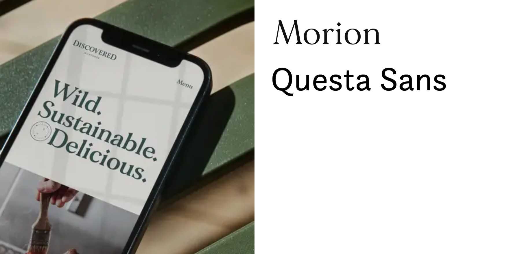 Discovered Wildfoods - Fonts In Use