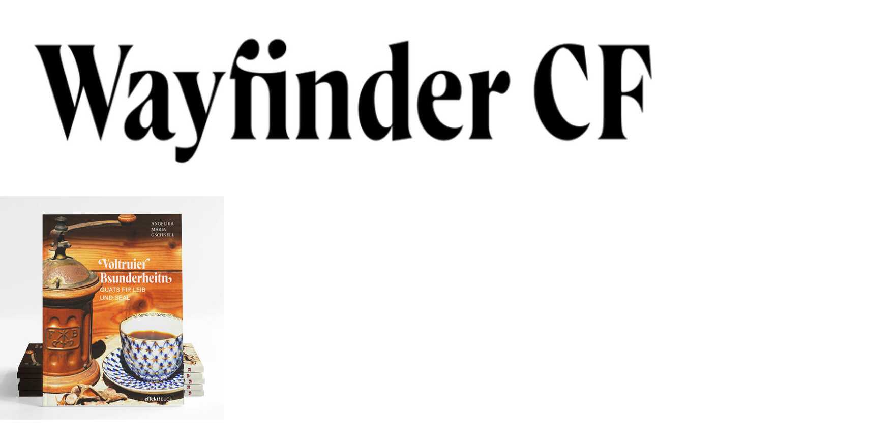 Wayfinder CF in use - Fonts In Use