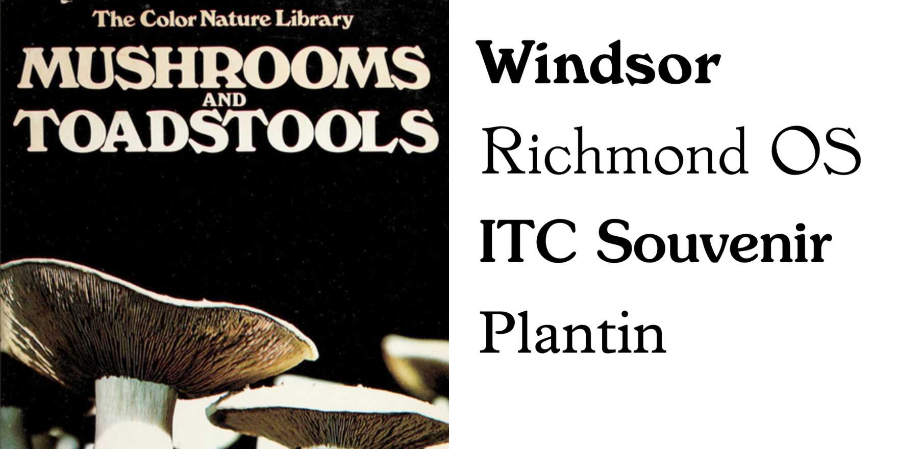 Mushrooms and Toadstools by Jacqueline Seymour - Fonts In Use