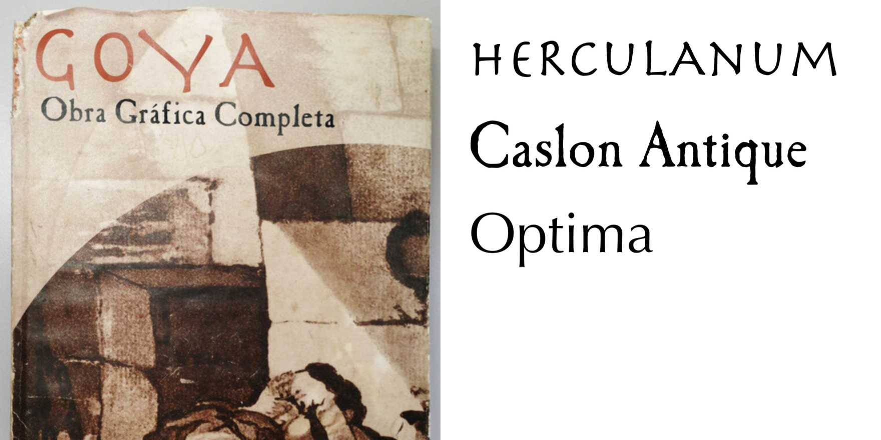 Goya: Obra Gráfica Completa - Fonts In Use