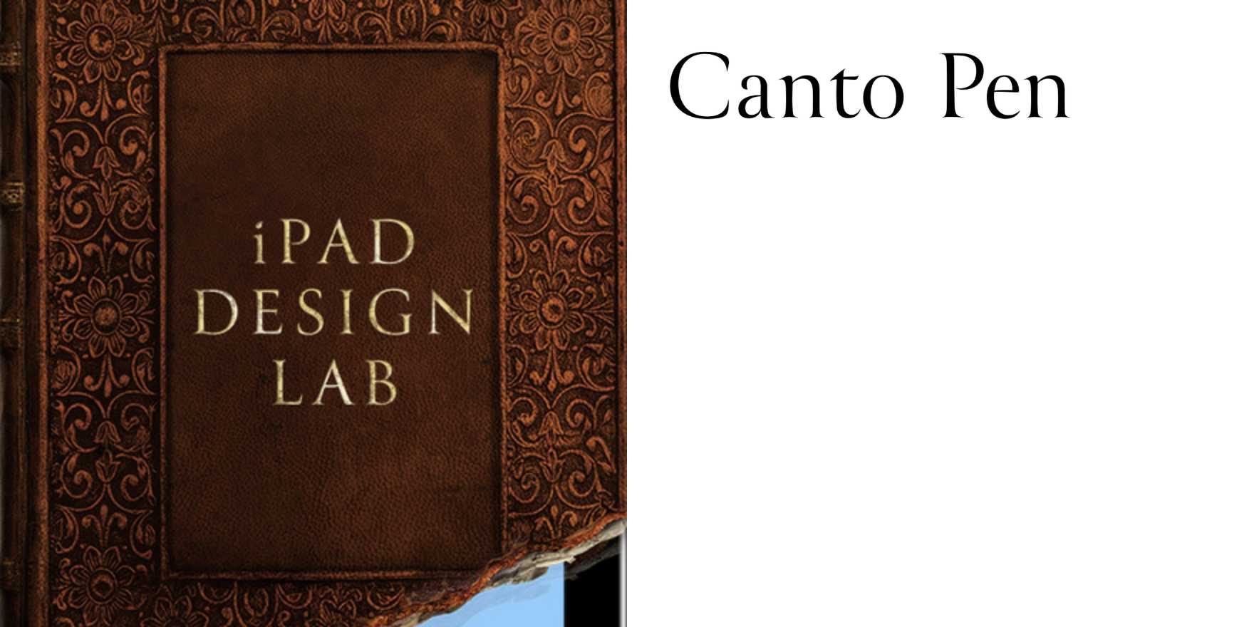 iPad Design Lab ebook cover - Fonts In Use