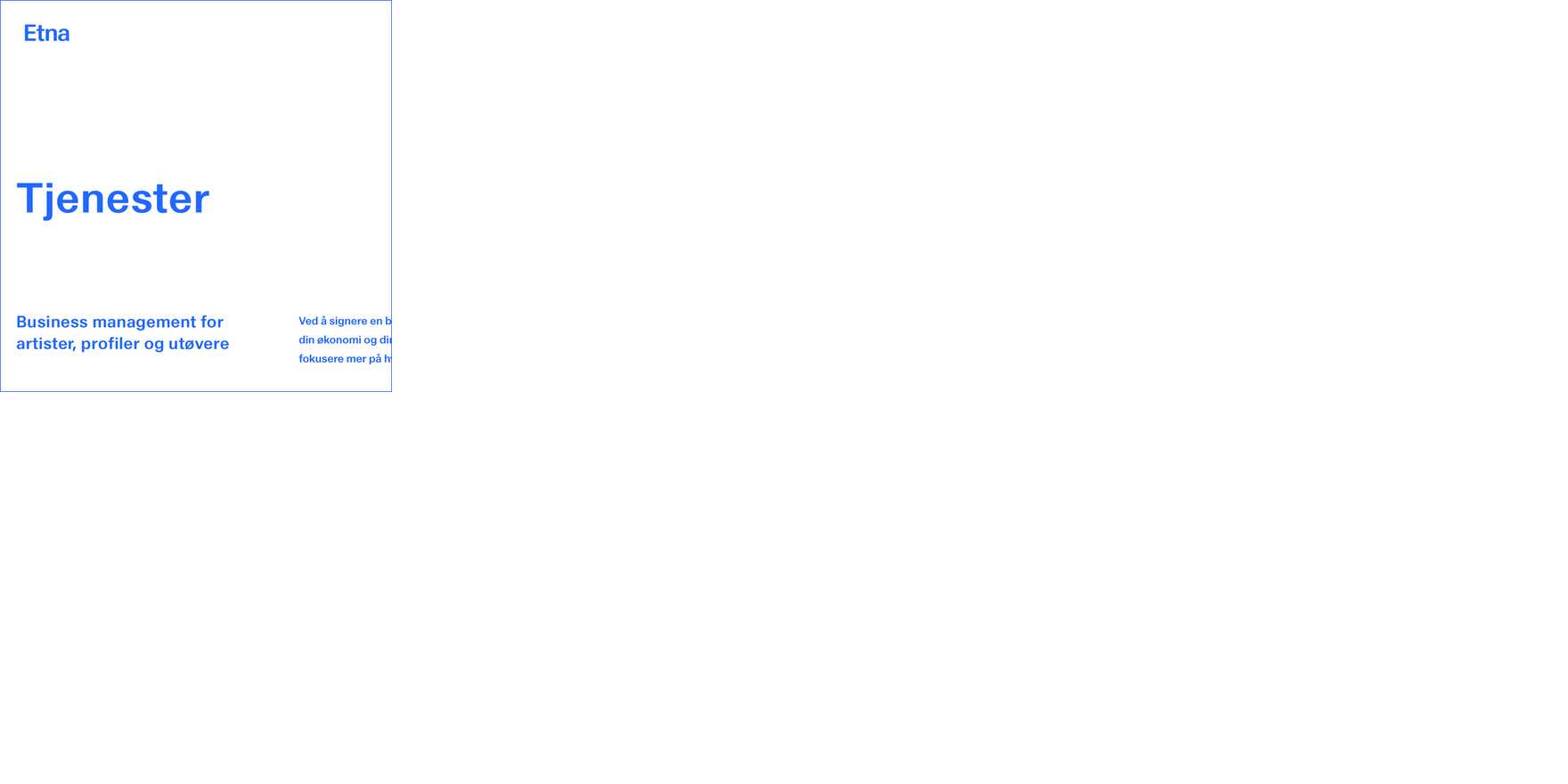 Etna AS at Fonts in Use