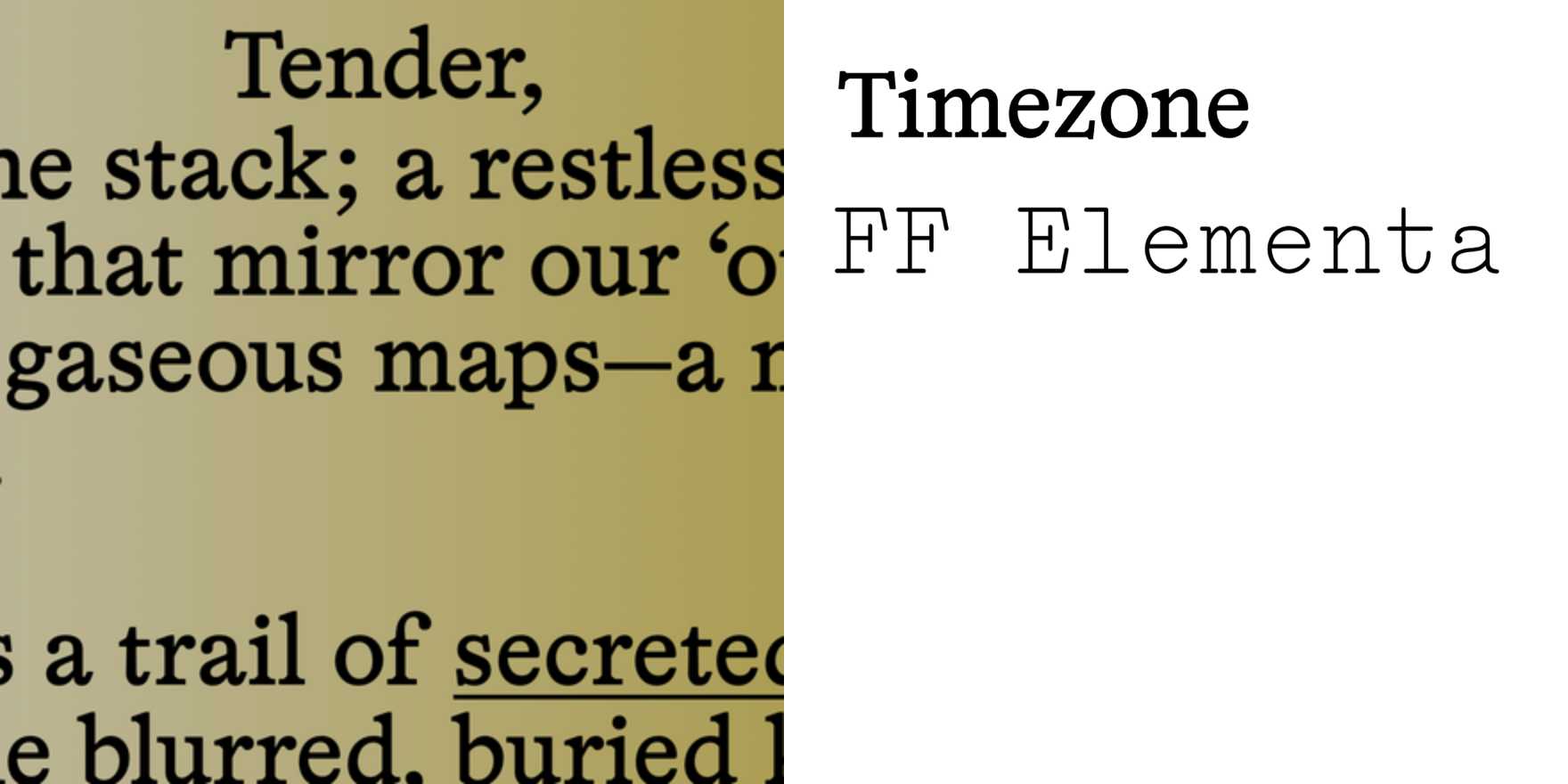 Tender website - Fonts In Use
