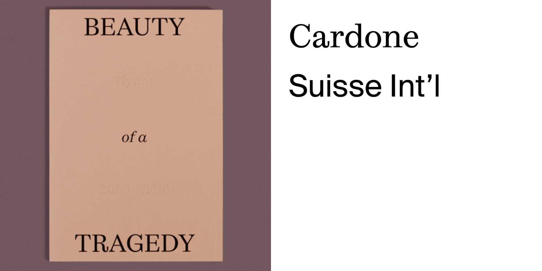 Beauty of a Tragedy - Fonts In Use