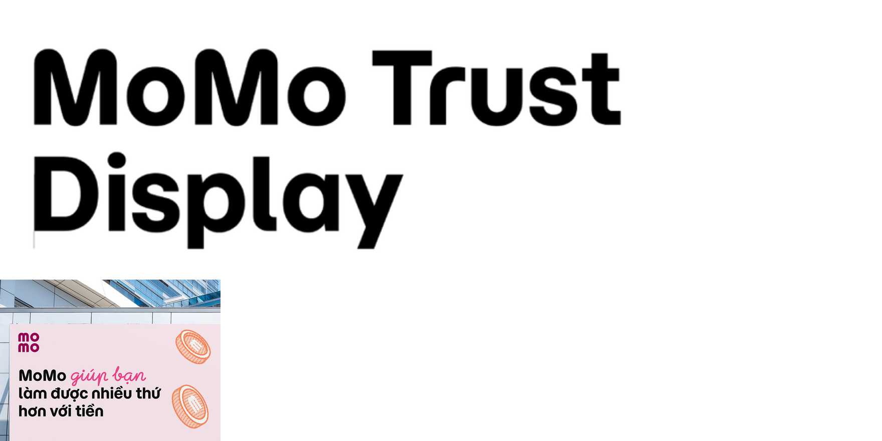 MoMo Trust Display in use - Fonts In Use