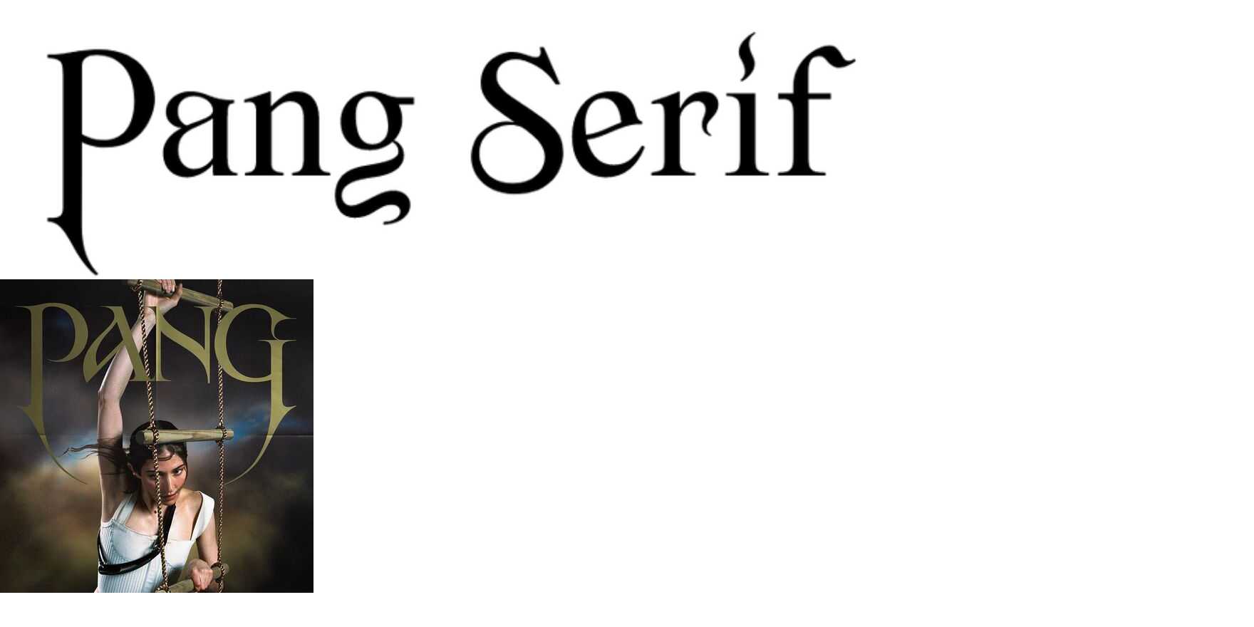 Pang Serif in use - Fonts In Use