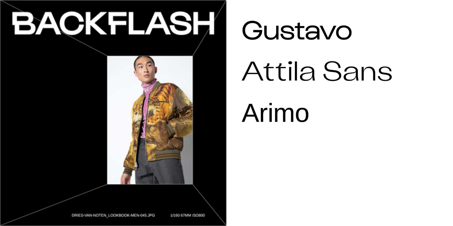 Backflash - Fonts In Use