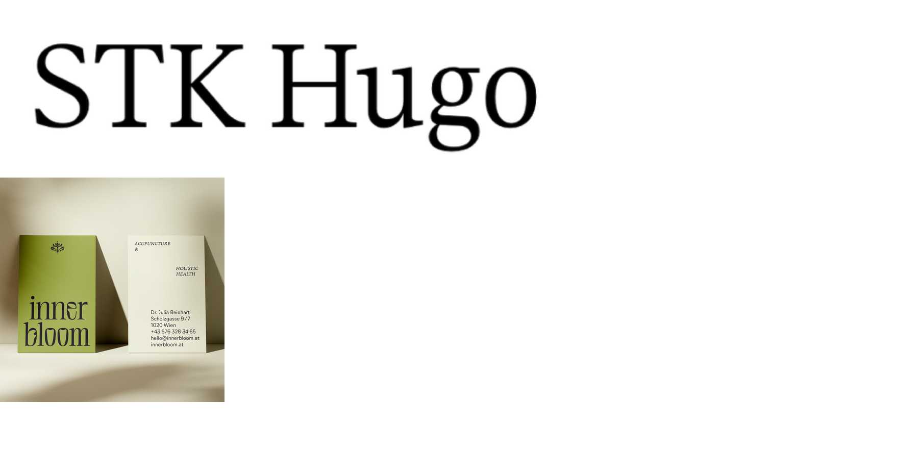 STK Hugo in use - Fonts In Use