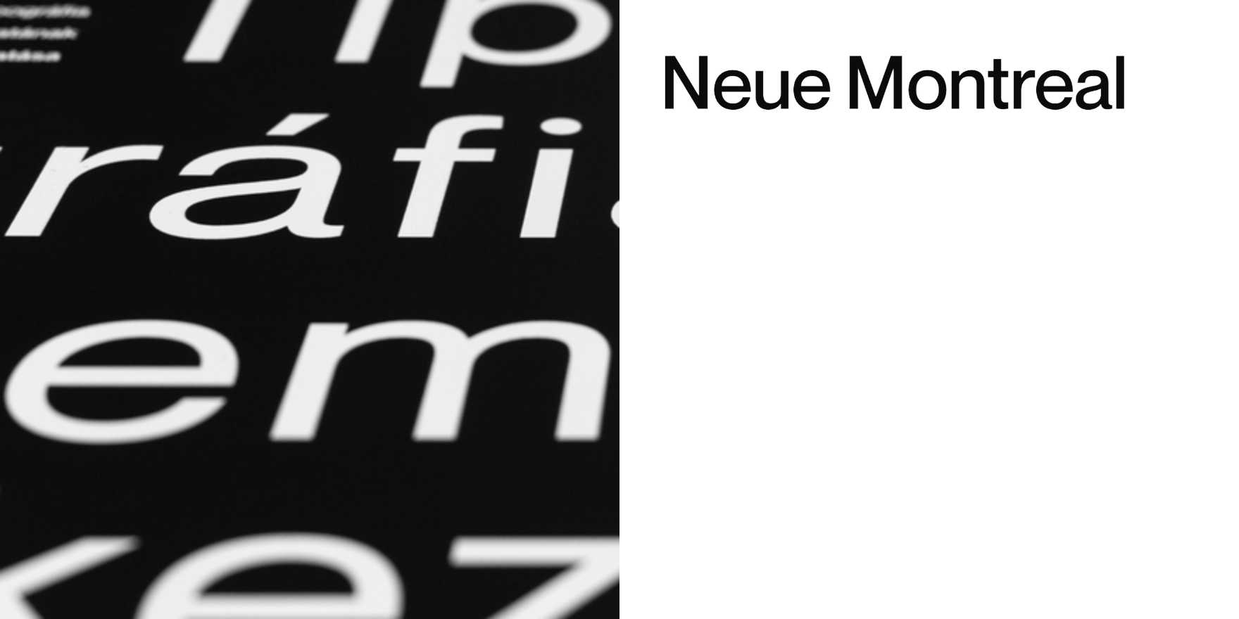 Typographic memory thesis - Fonts In Use