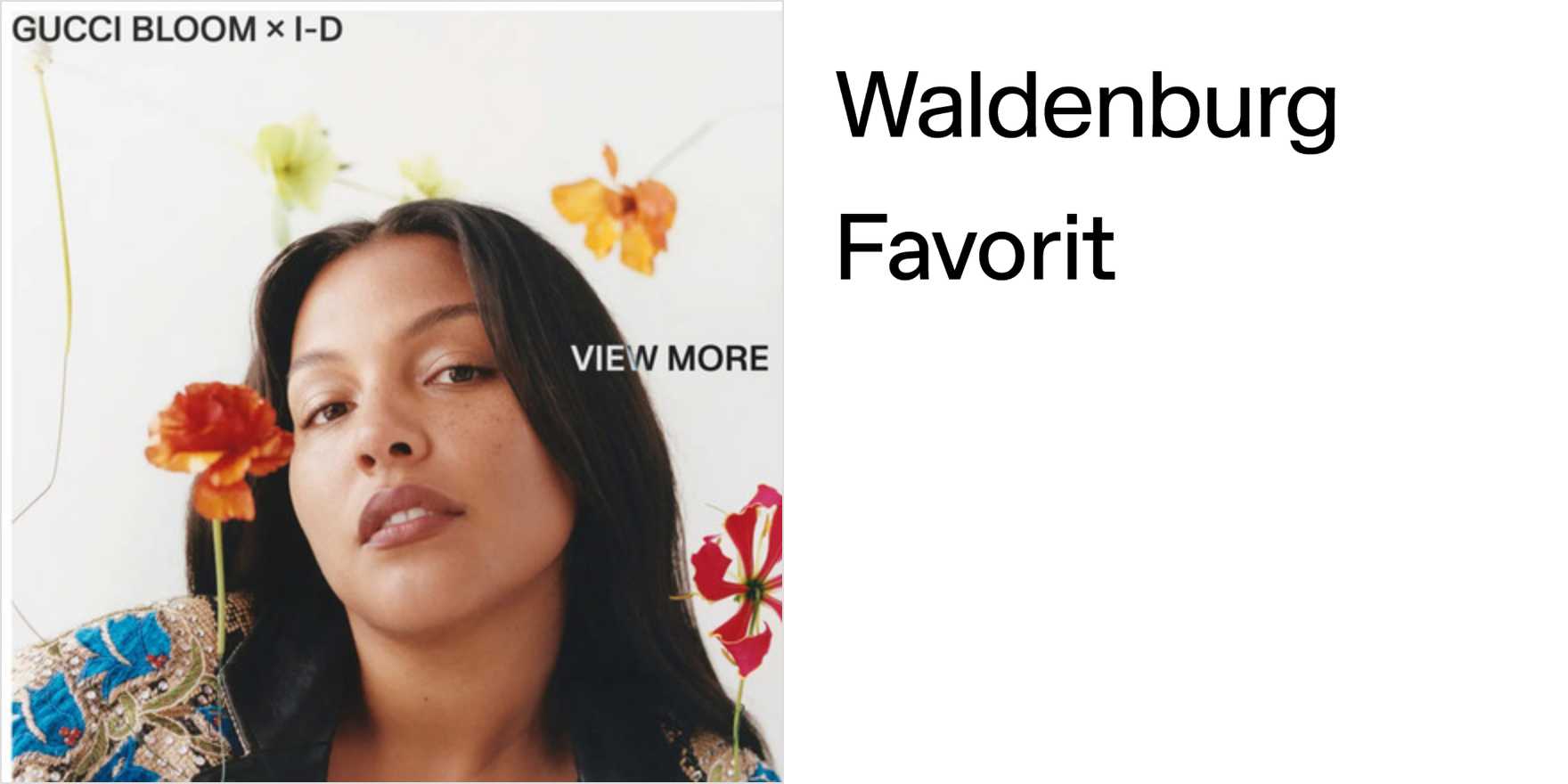 LG Studio - Fonts In Use