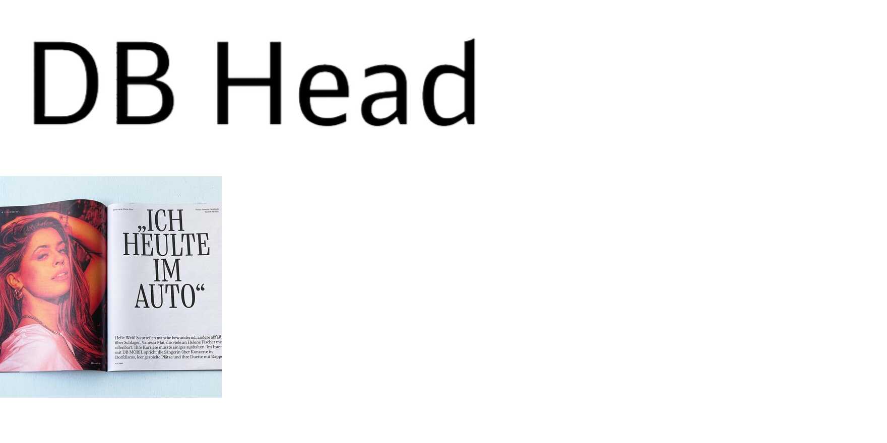 DB Head in use - Fonts In Use