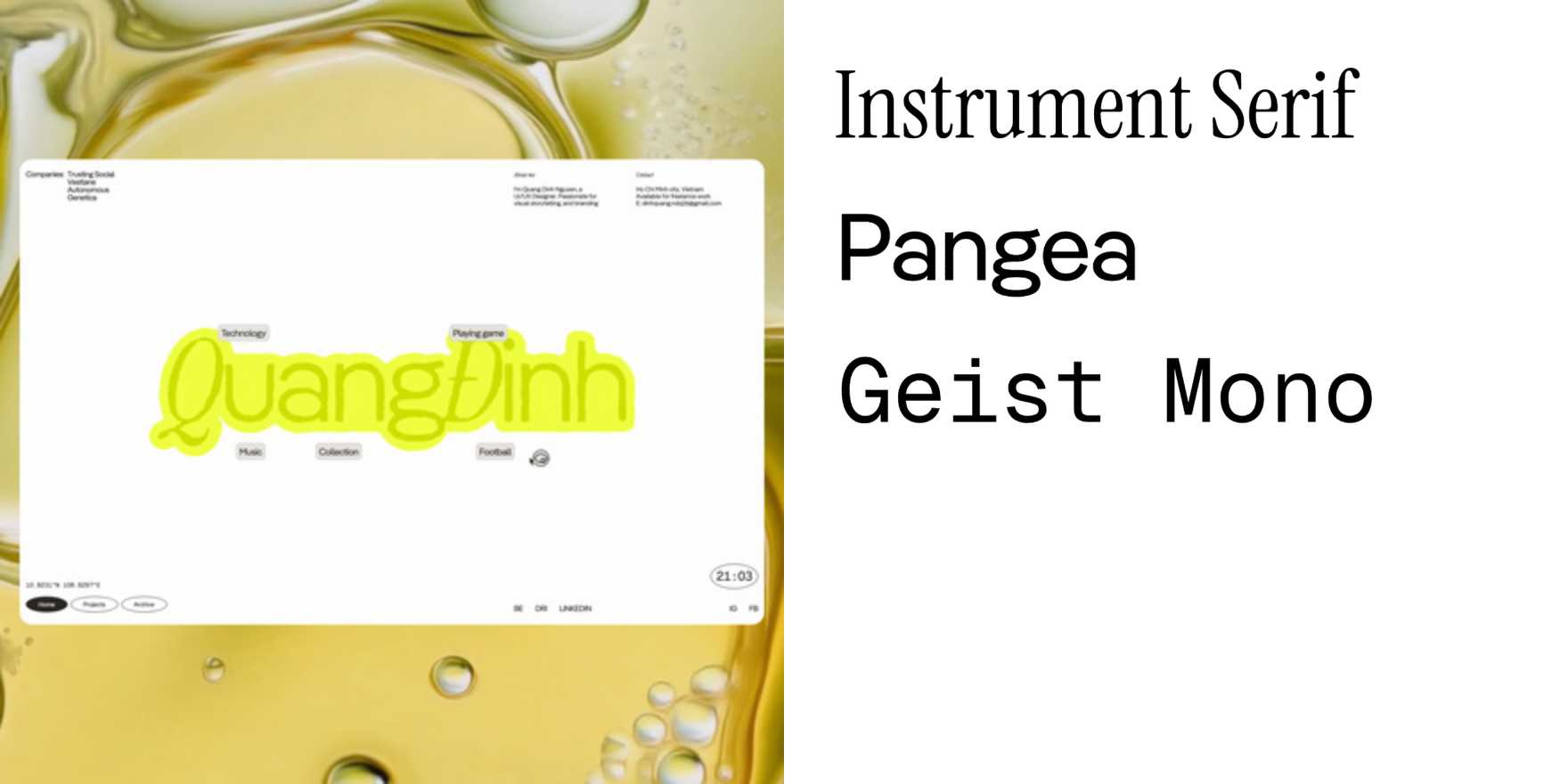 Quang Dinh portfolio - Fonts In Use