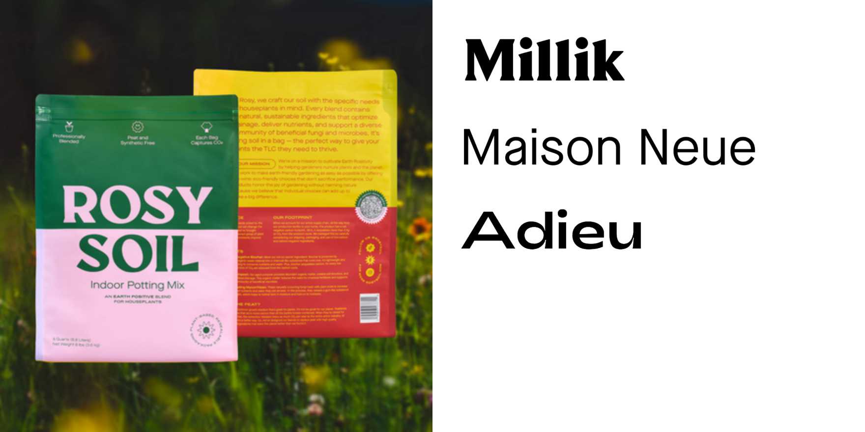 Rosy Soil - Fonts In Use