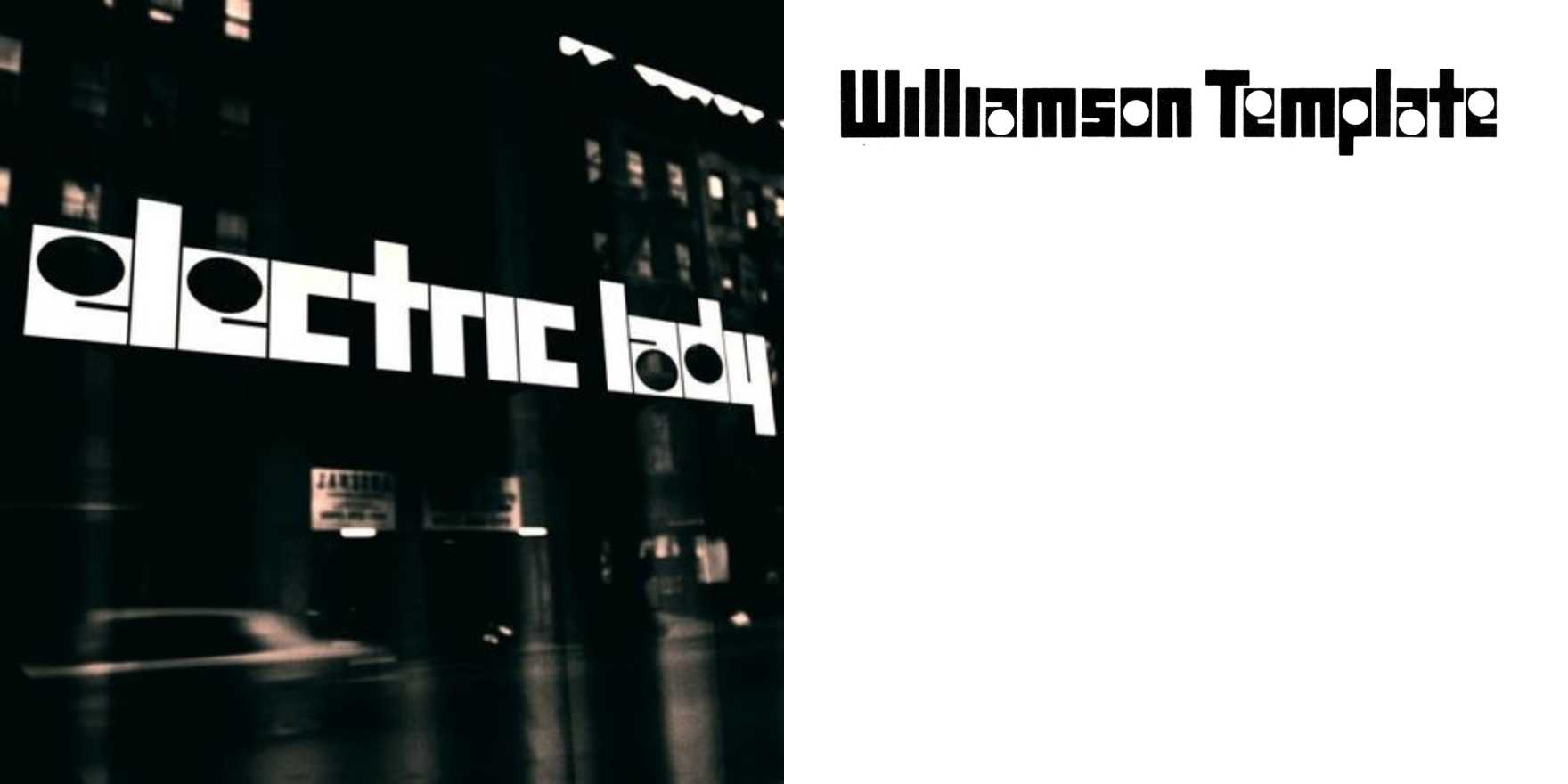 Electric Lady Studios logo - Fonts In Use