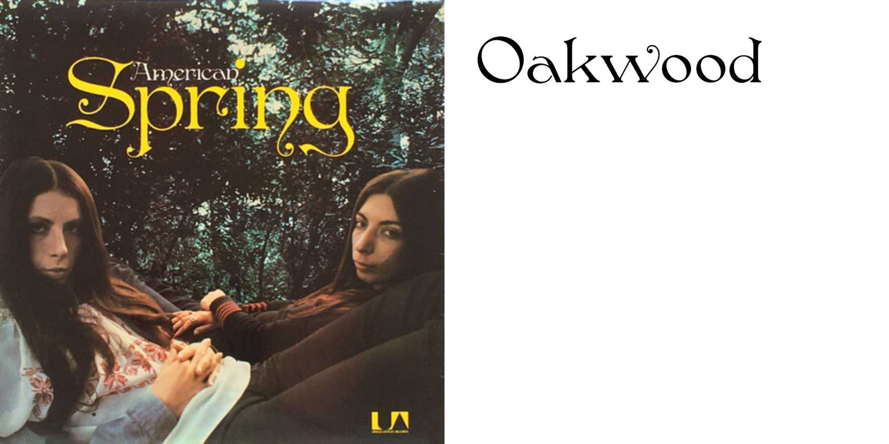 American Spring by American Spring album art - Fonts In Use