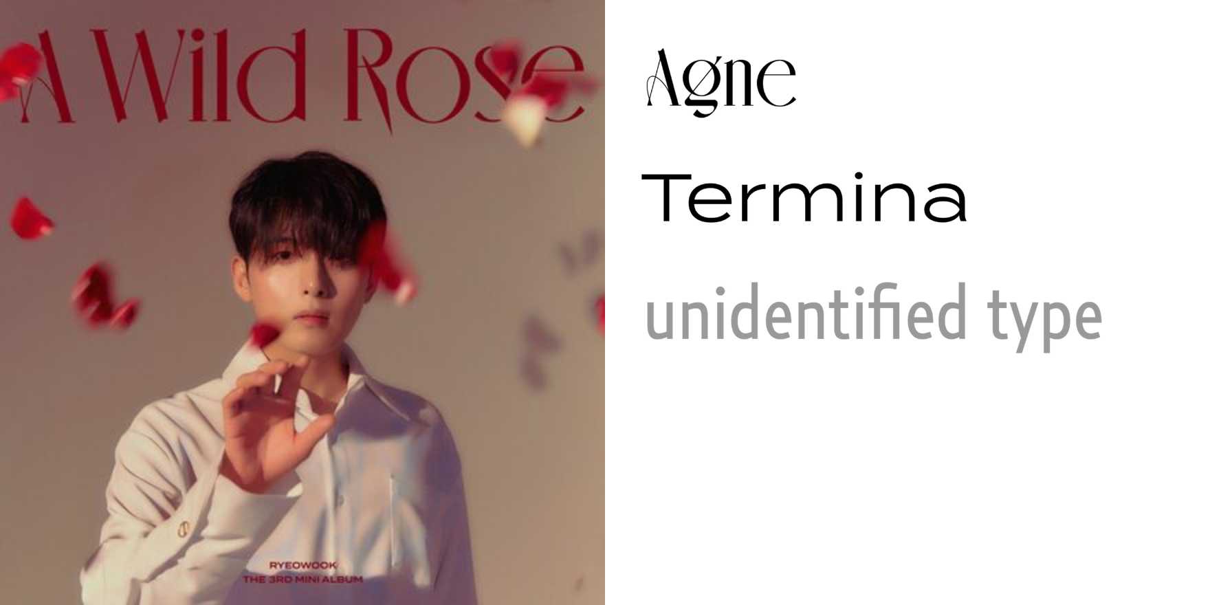 Ryeowook – A Wild Rose album art - Fonts In Use