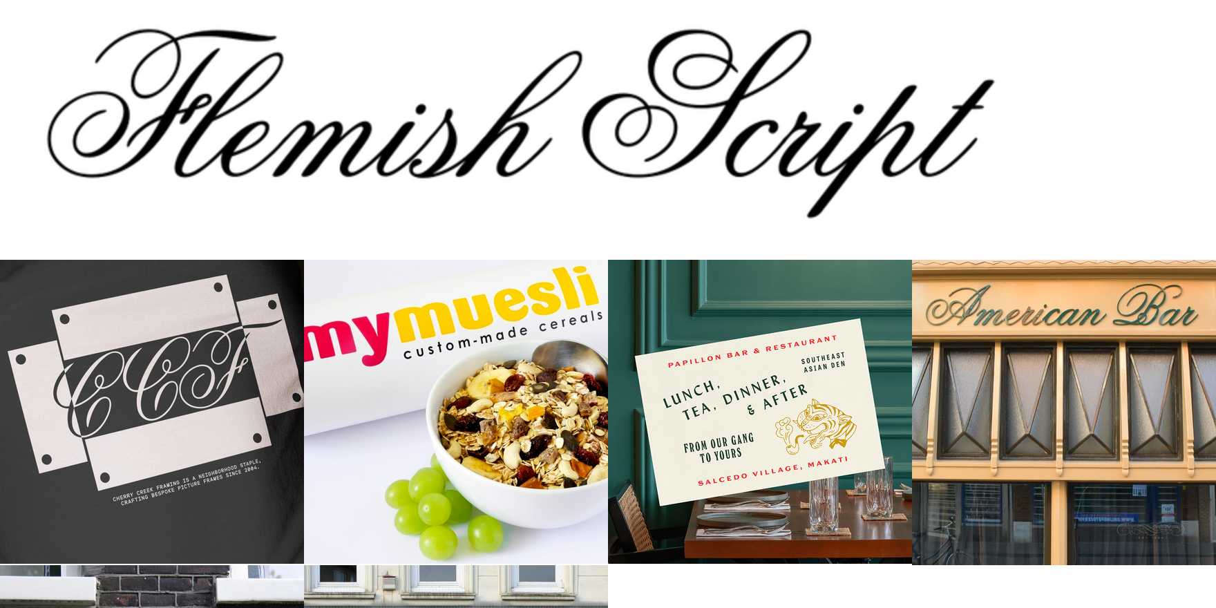 Flemish Script in use - Fonts In Use