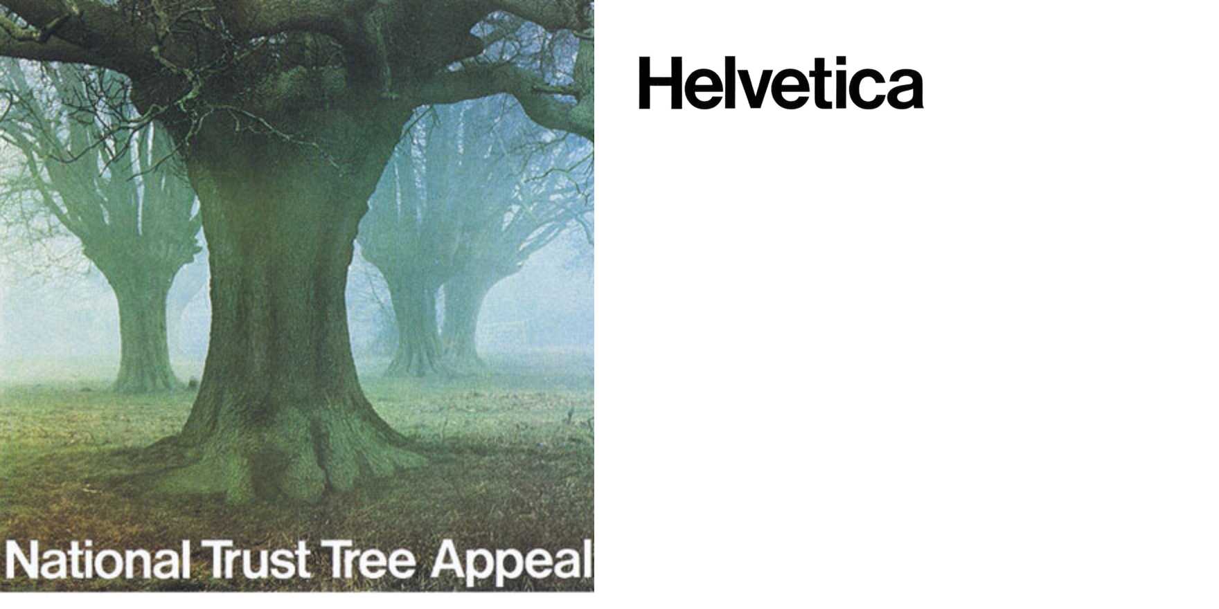 National Trust Tree Appeal poster - Fonts In Use