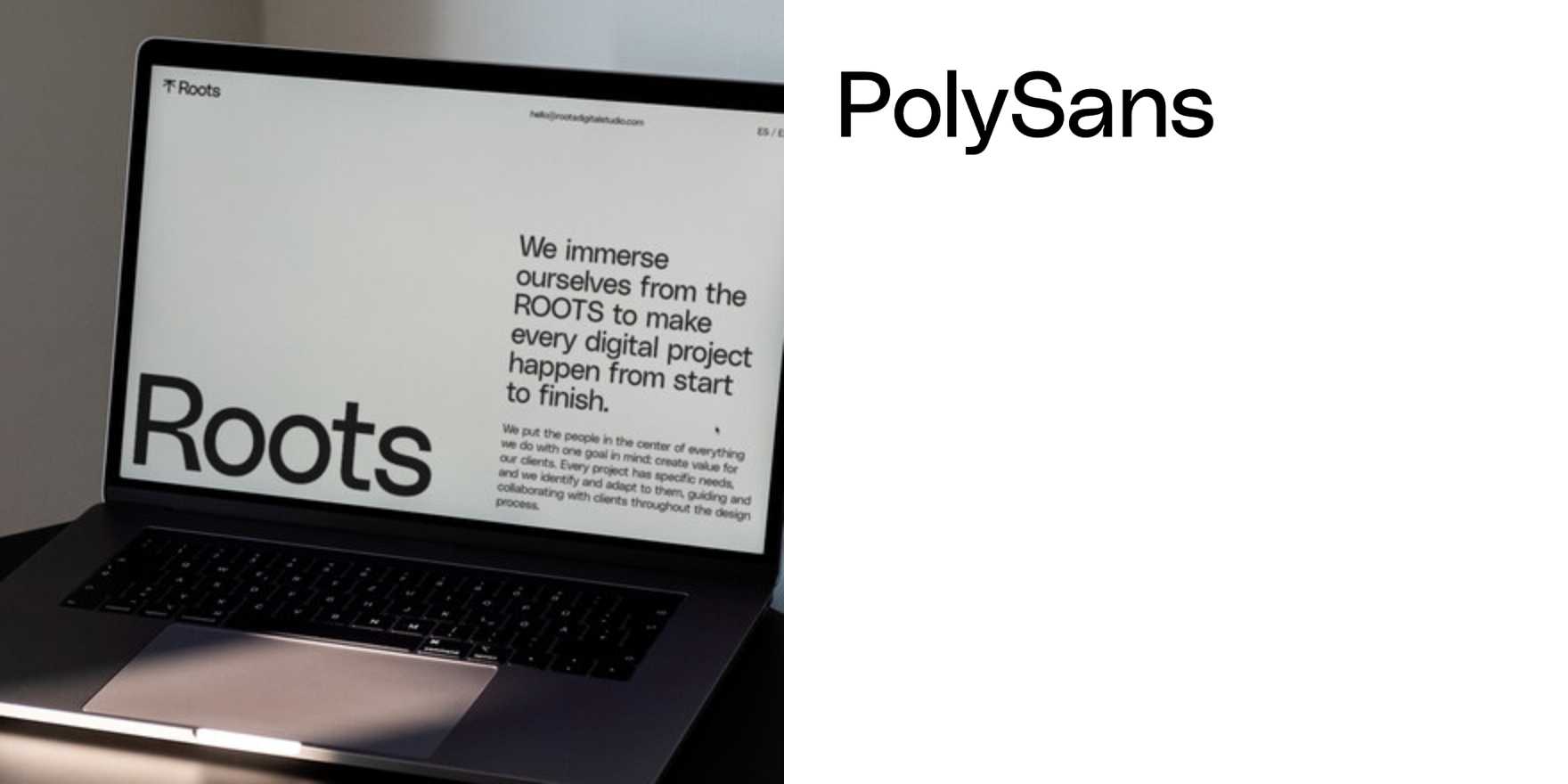 Roots Digital Studio - Fonts In Use