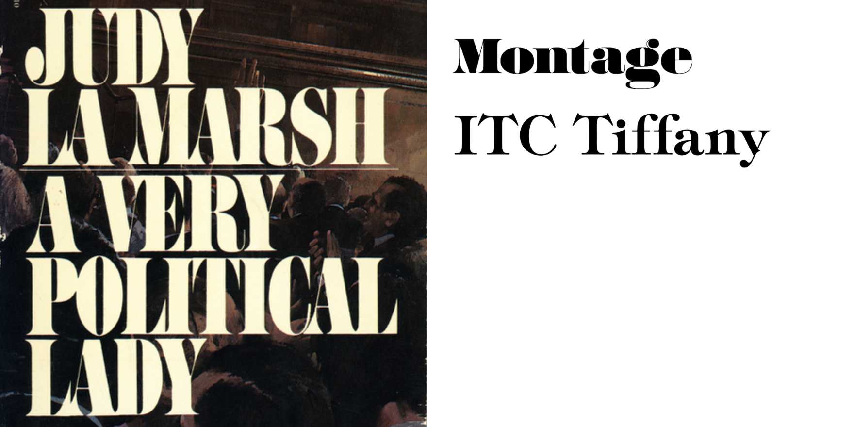 A Very Political Lady by Judy LaMarsh - Fonts In Use