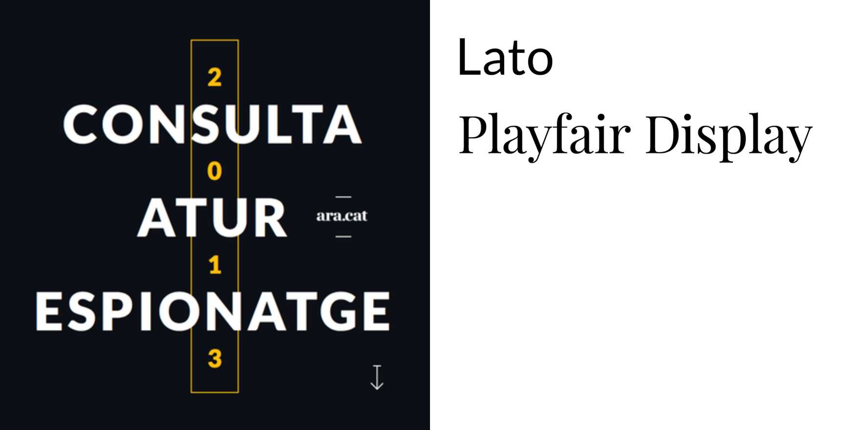 Ara.cat’s 2013 Year in Review - Fonts In Use