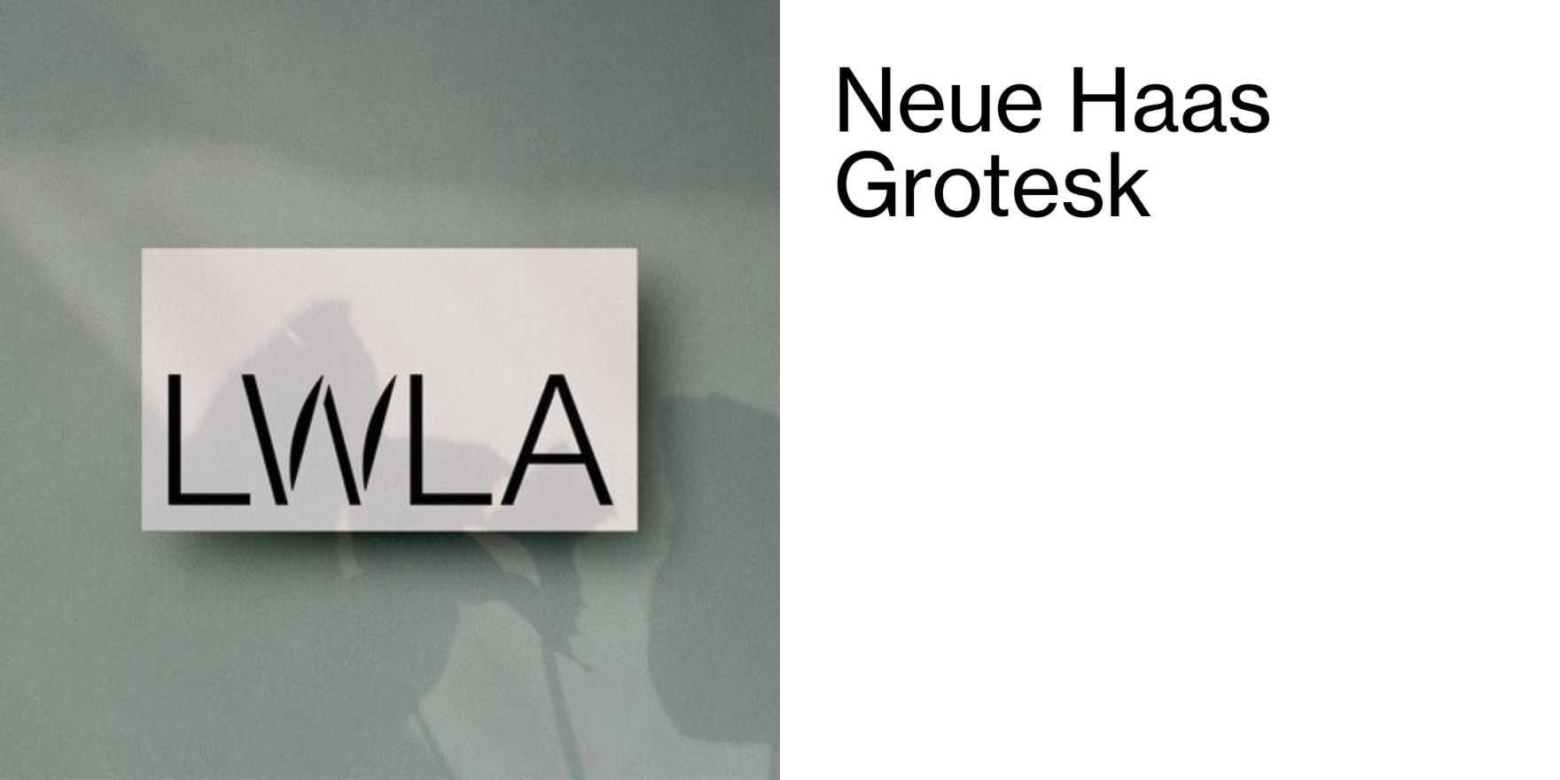 LWLA brand and website - Fonts In Use