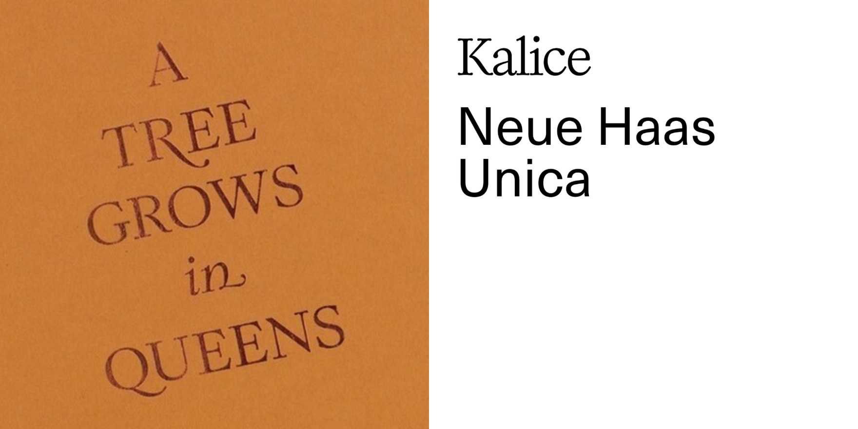 A Tree Grows in Queens by Magali Duzant - Fonts In Use