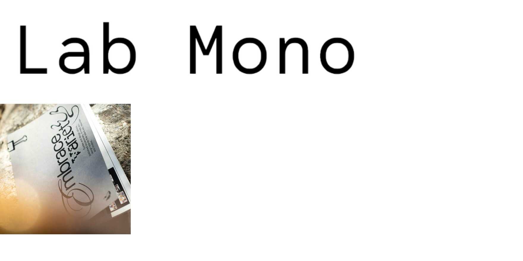 Lab Mono in use - Fonts In Use