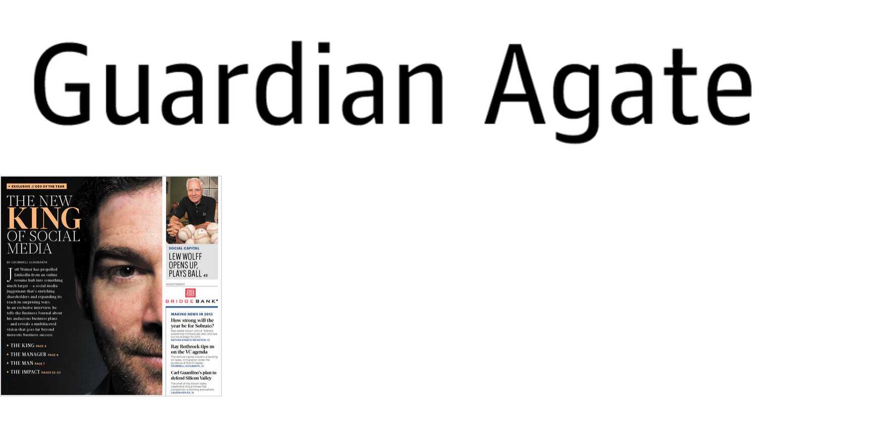 Guardian Agate Sans in use - Fonts In Use