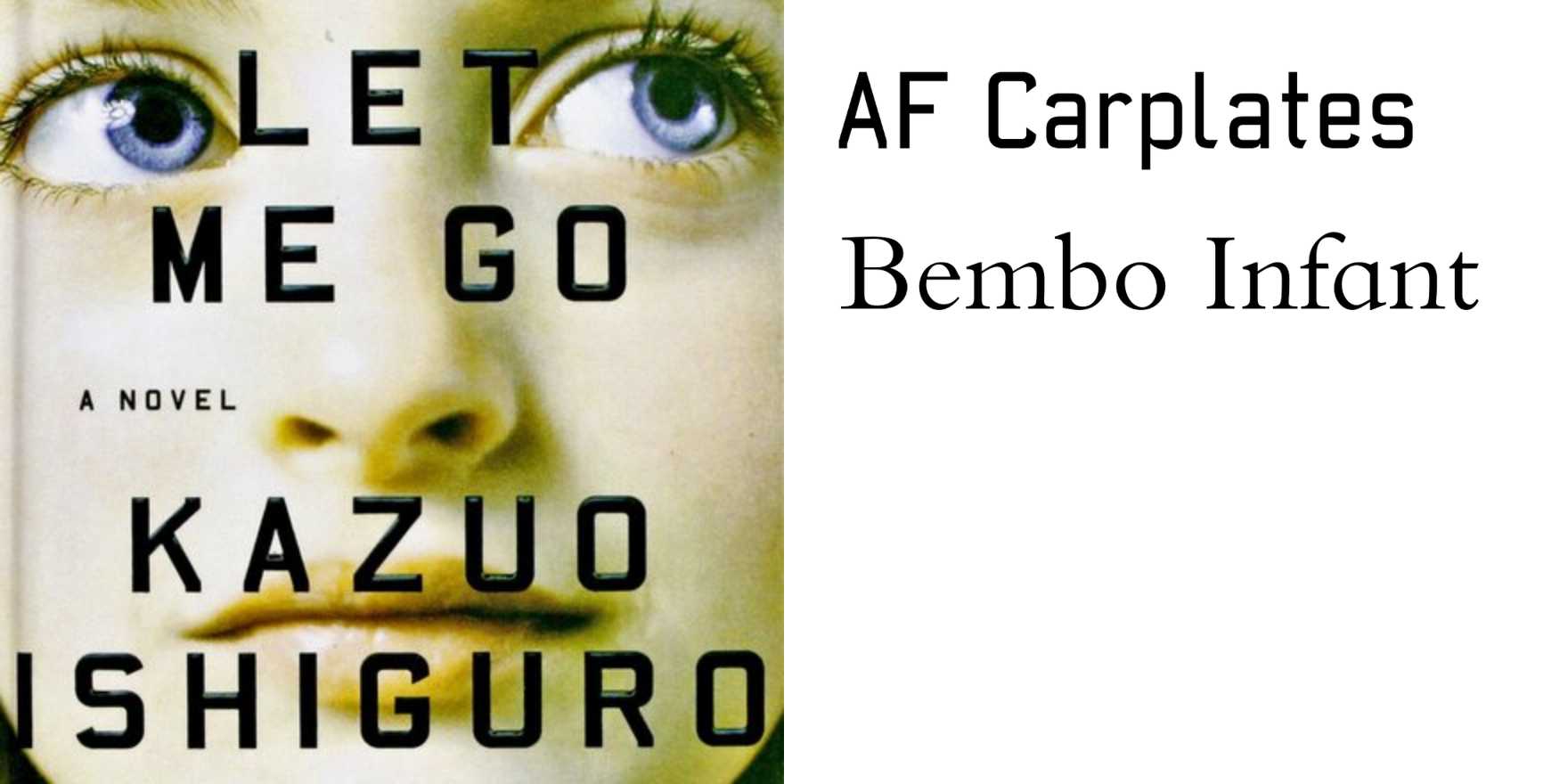 Never Let Me Go by Kazuo Ishiguro, Vintage Books - Fonts In Use