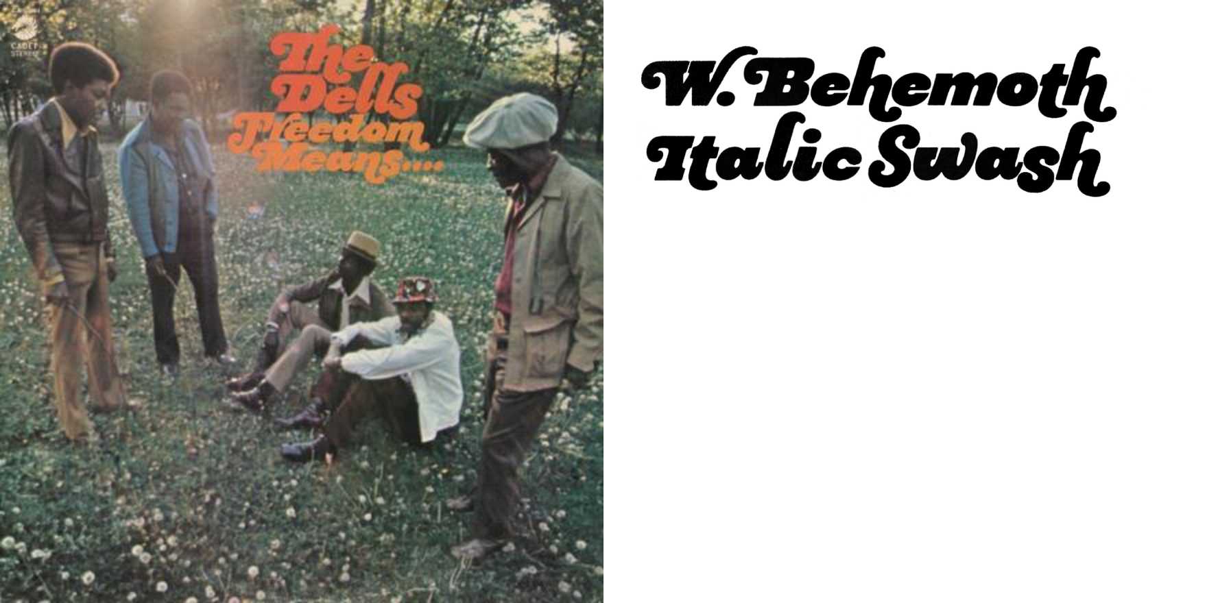 The Dells – Freedom Means.... album art - Fonts In Use