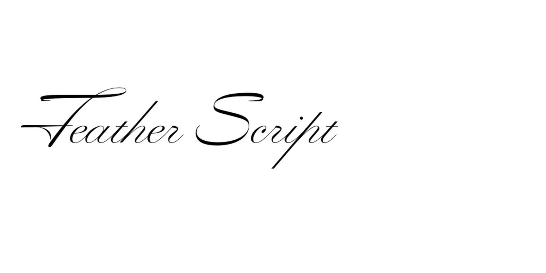 Feather Script in use - Fonts In Use