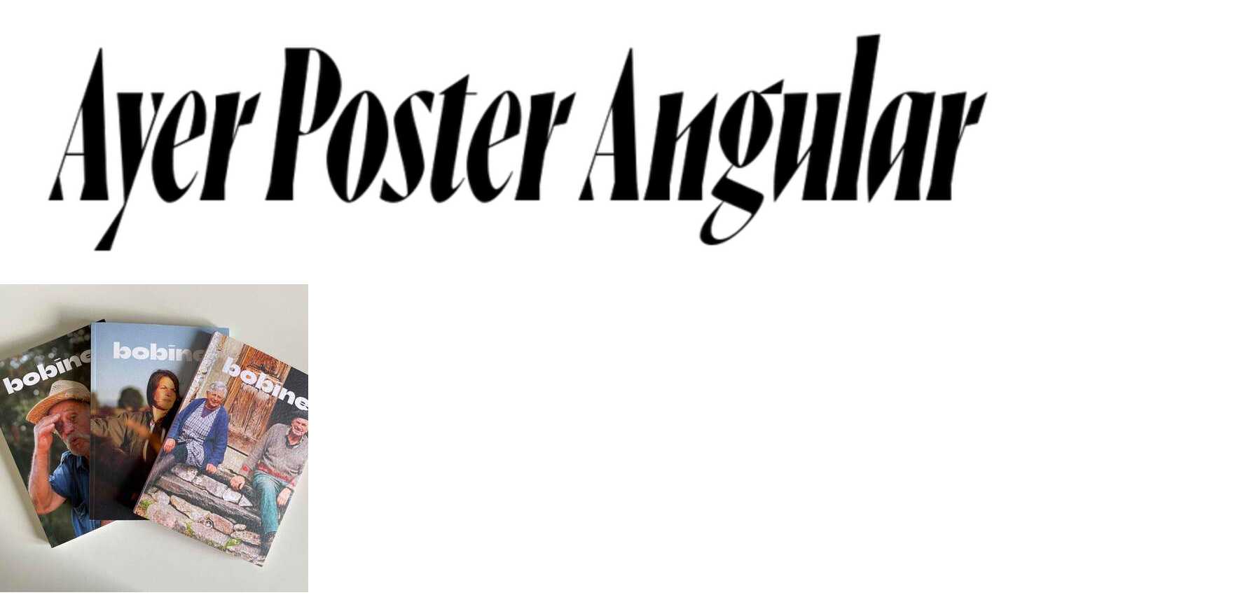 Ayer Poster Angular in use - Fonts In Use