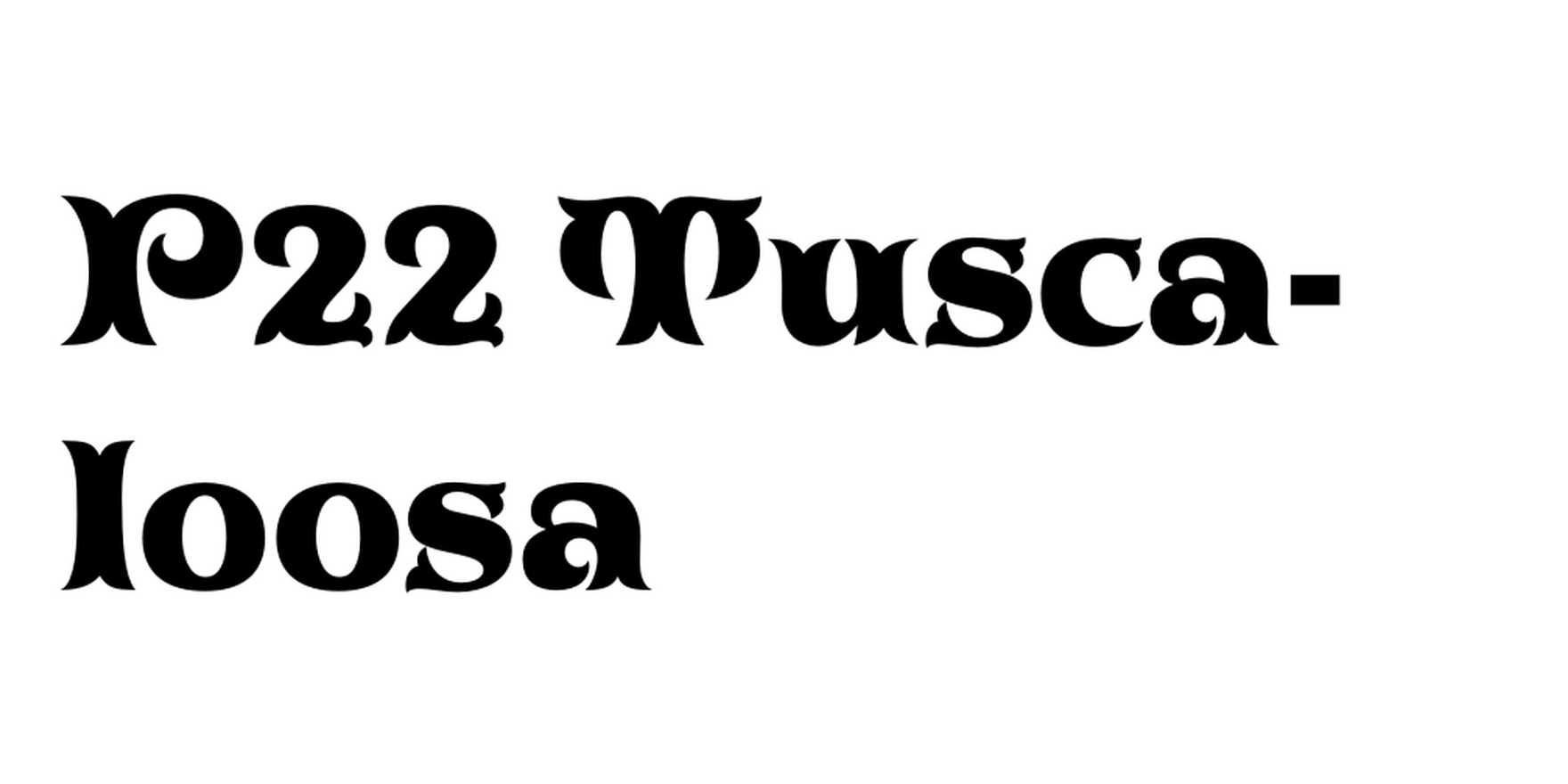 P22 Tuscaloosa in use - Fonts In Use